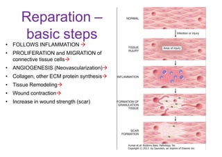 Regeneration Repair-Eng.pptx