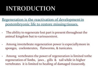 regenerationsat-.pptx