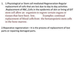 regenerationsat-.pptx