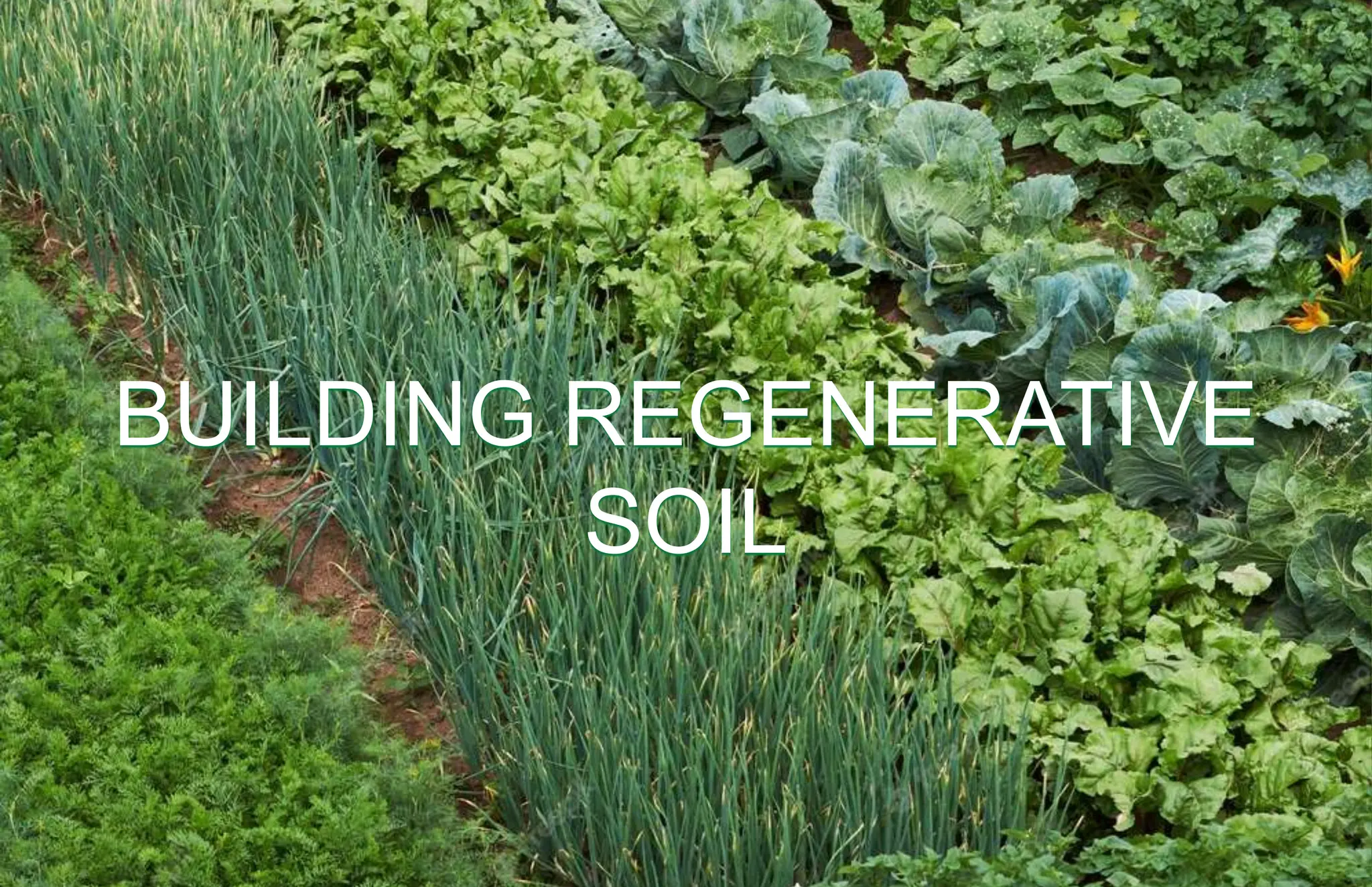 REGENERATIVE AGRICULTURE & SOLUTIONS.pptx