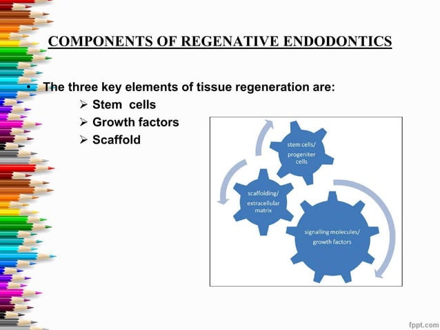 Regenerative endodontic | PPTX