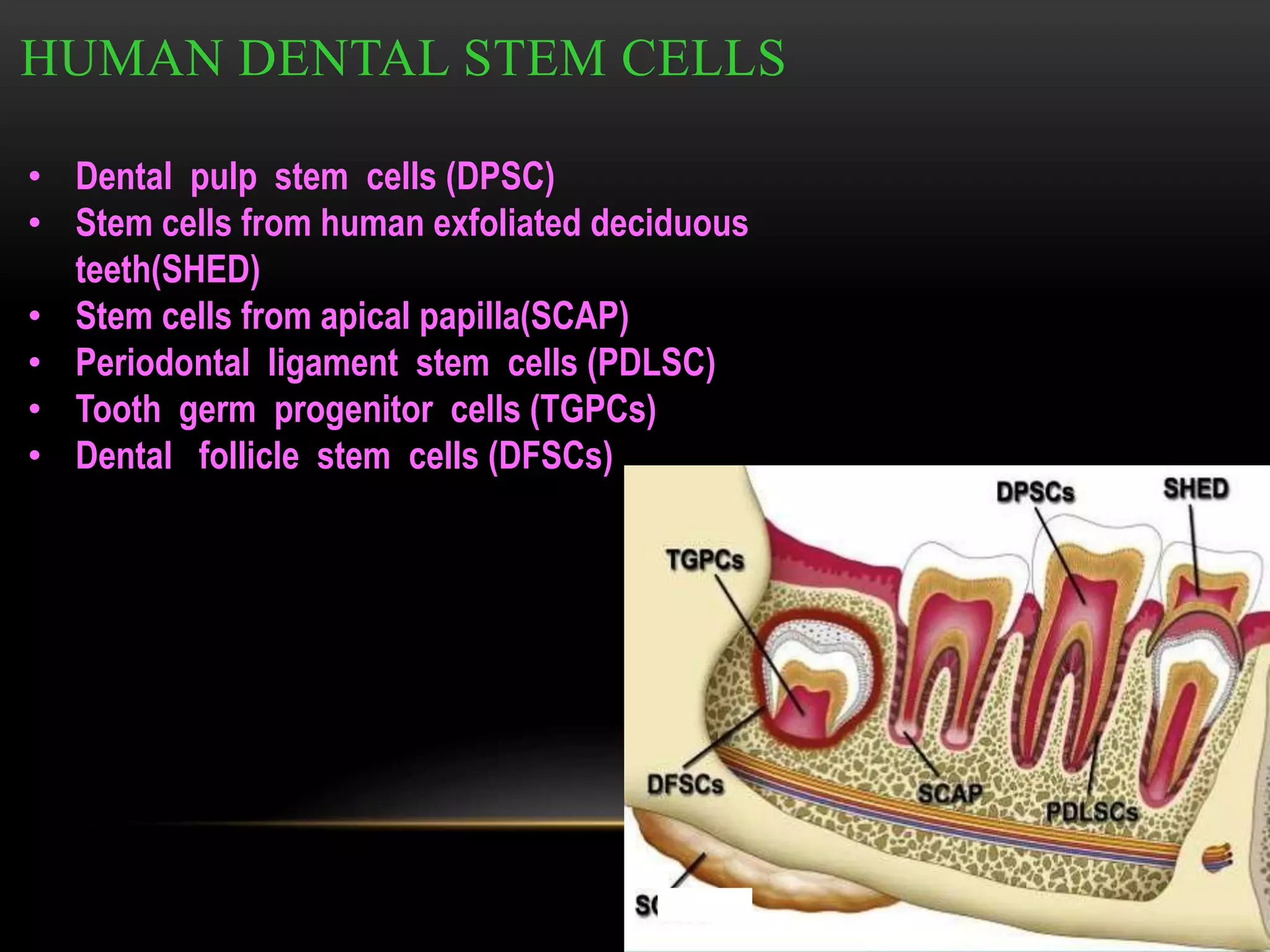 Regenerative endodontics | PPTX