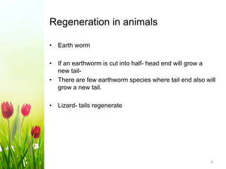 Regenerative Endodontics.pptx