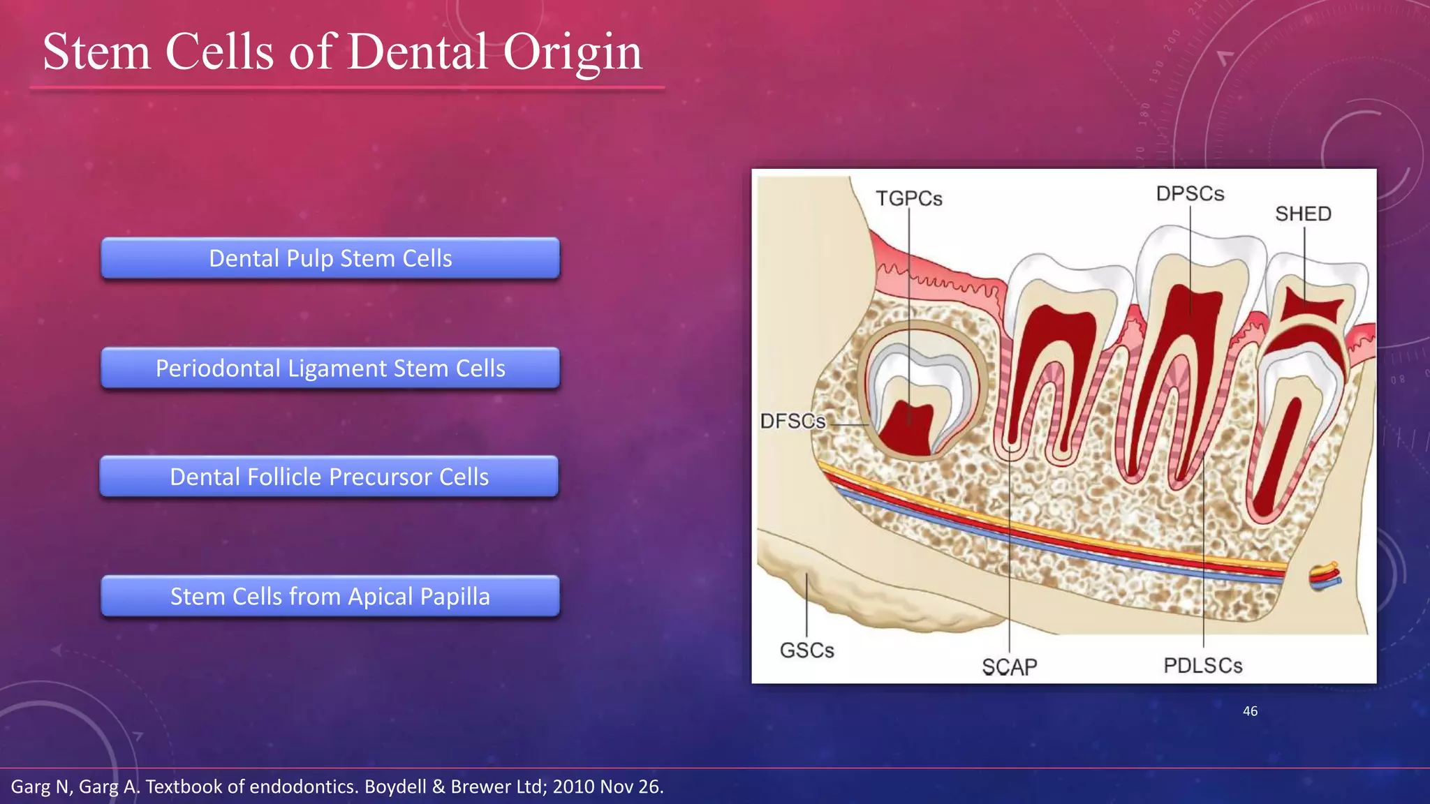 Regenerative Endodontics | PPTX