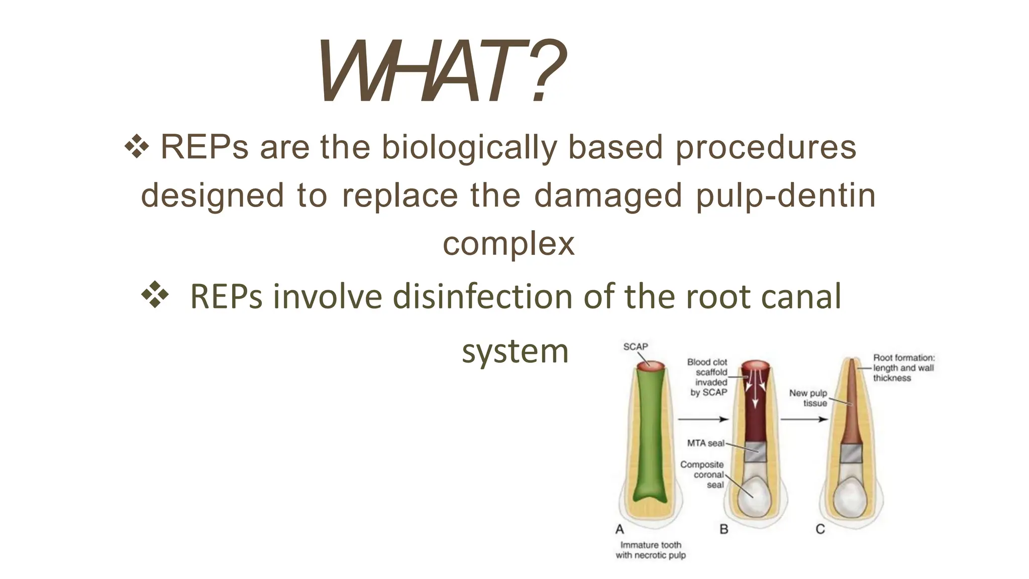 REGENERATIVE ENDODONTICS- oral endodontics | PPTX
