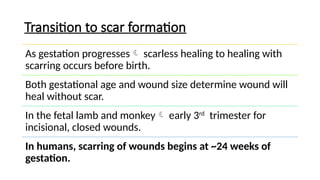 REGENERATIVE FETAL WOUND HEALING- SCARLESS HEALING | PPTX