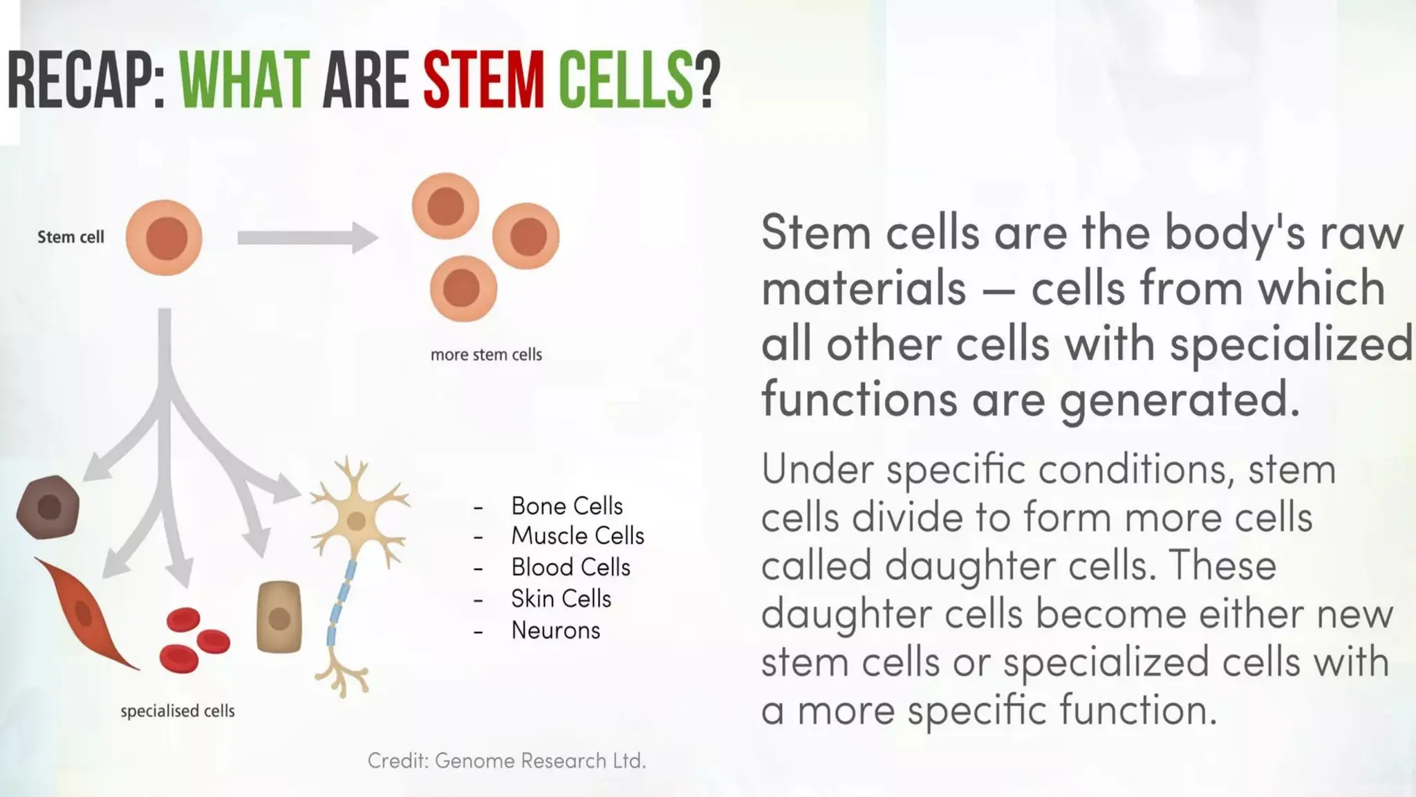 Regenerative Medicine and Stem Cell Therapy: Unlocking the Body's ...