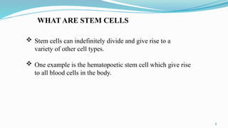 Regenerative Medicine and Stem Cell Therapy: Unlocking the Body's ...