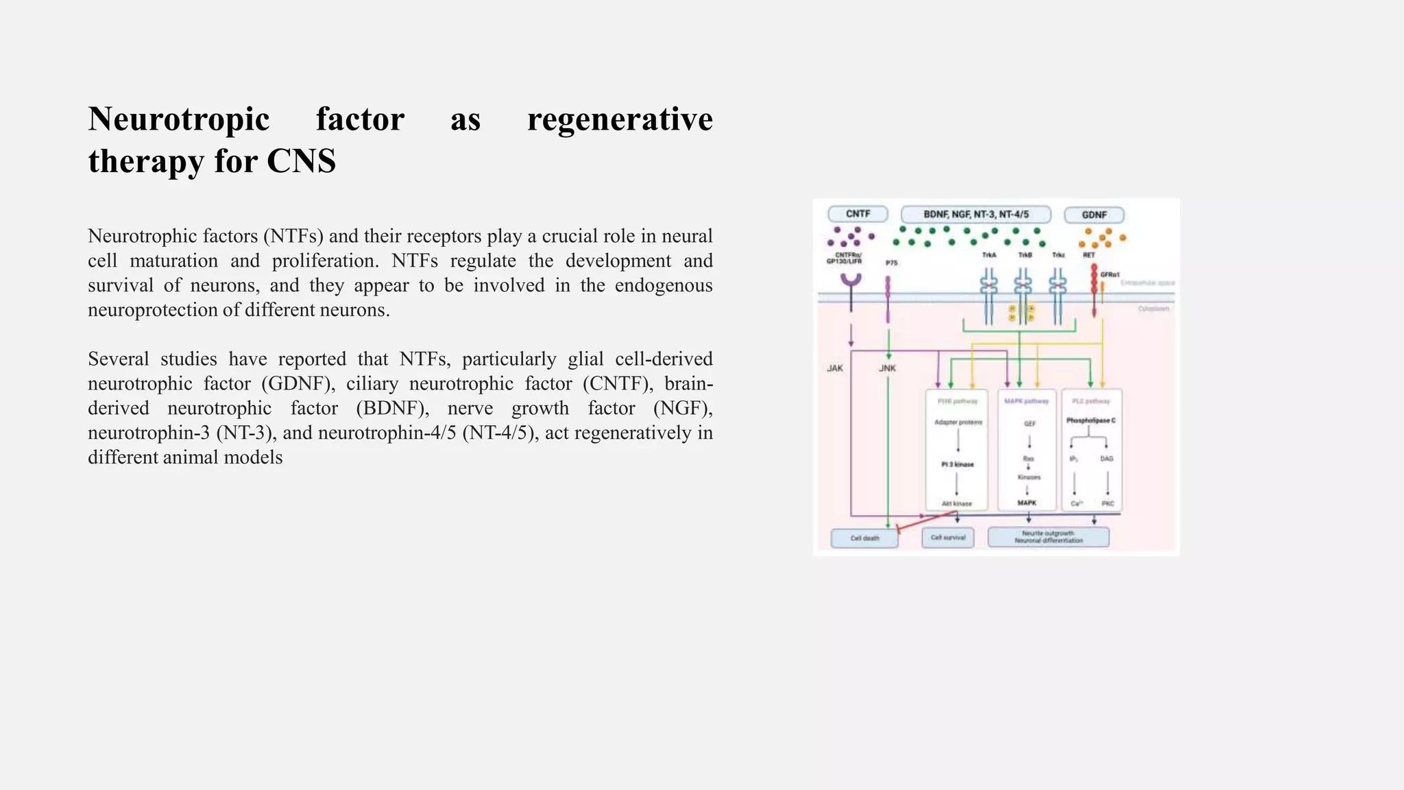 Regenerative therapy for CN.pptx