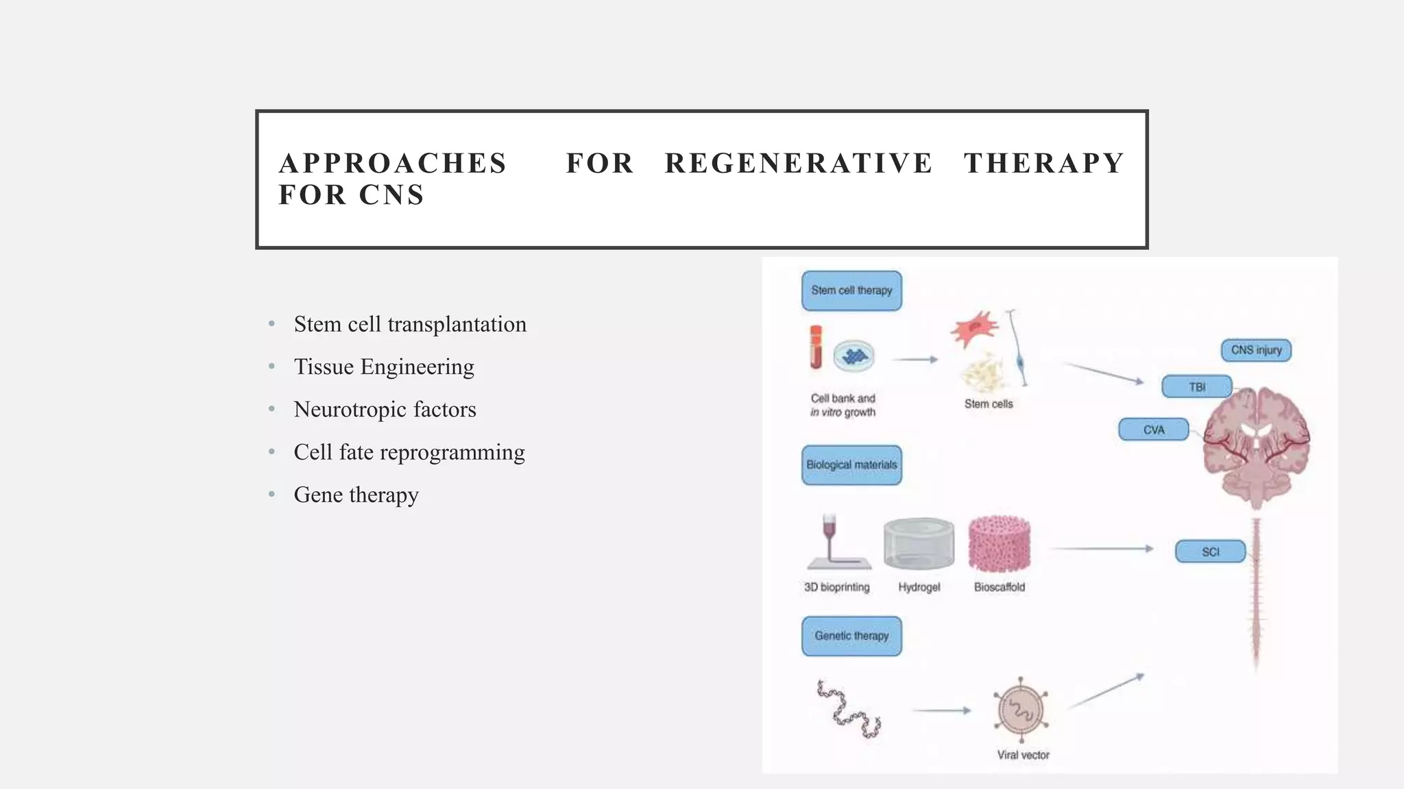 Regenerative therapy for CN.pptx