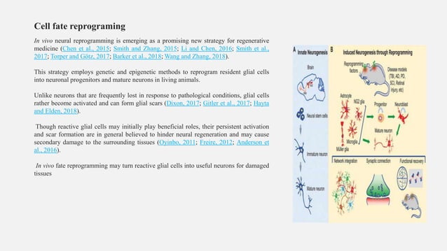 Regenerative therapy for CN.pptx