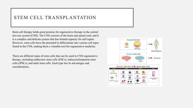 Regenerative therapy for CN.pptx