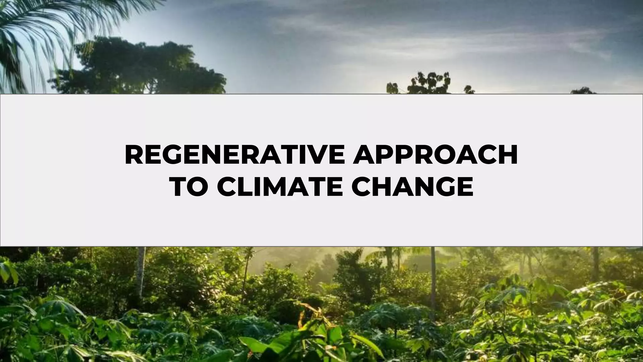 Regenerative approach to climate change | PPT