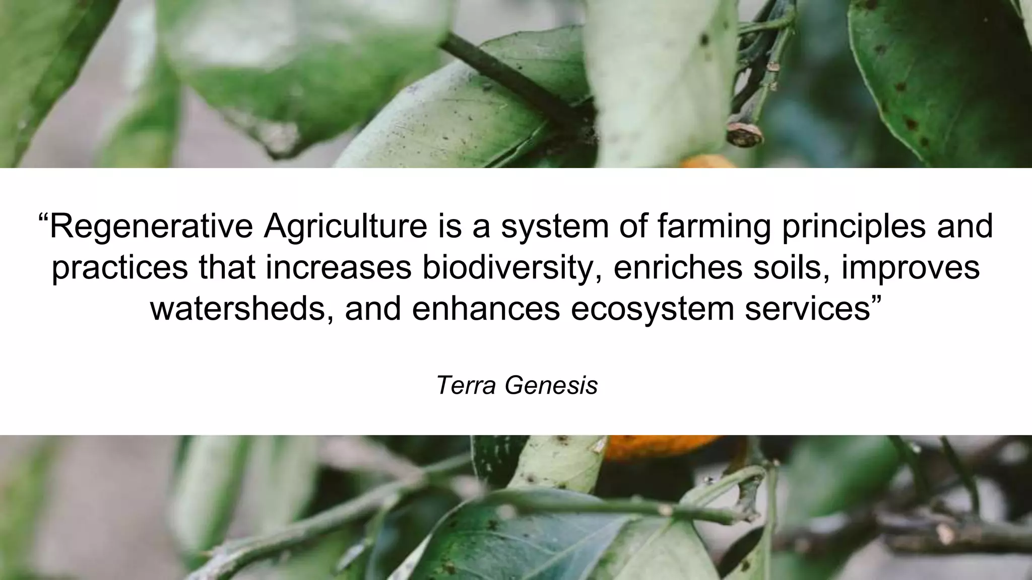 Regenerative approach to climate change | PPT