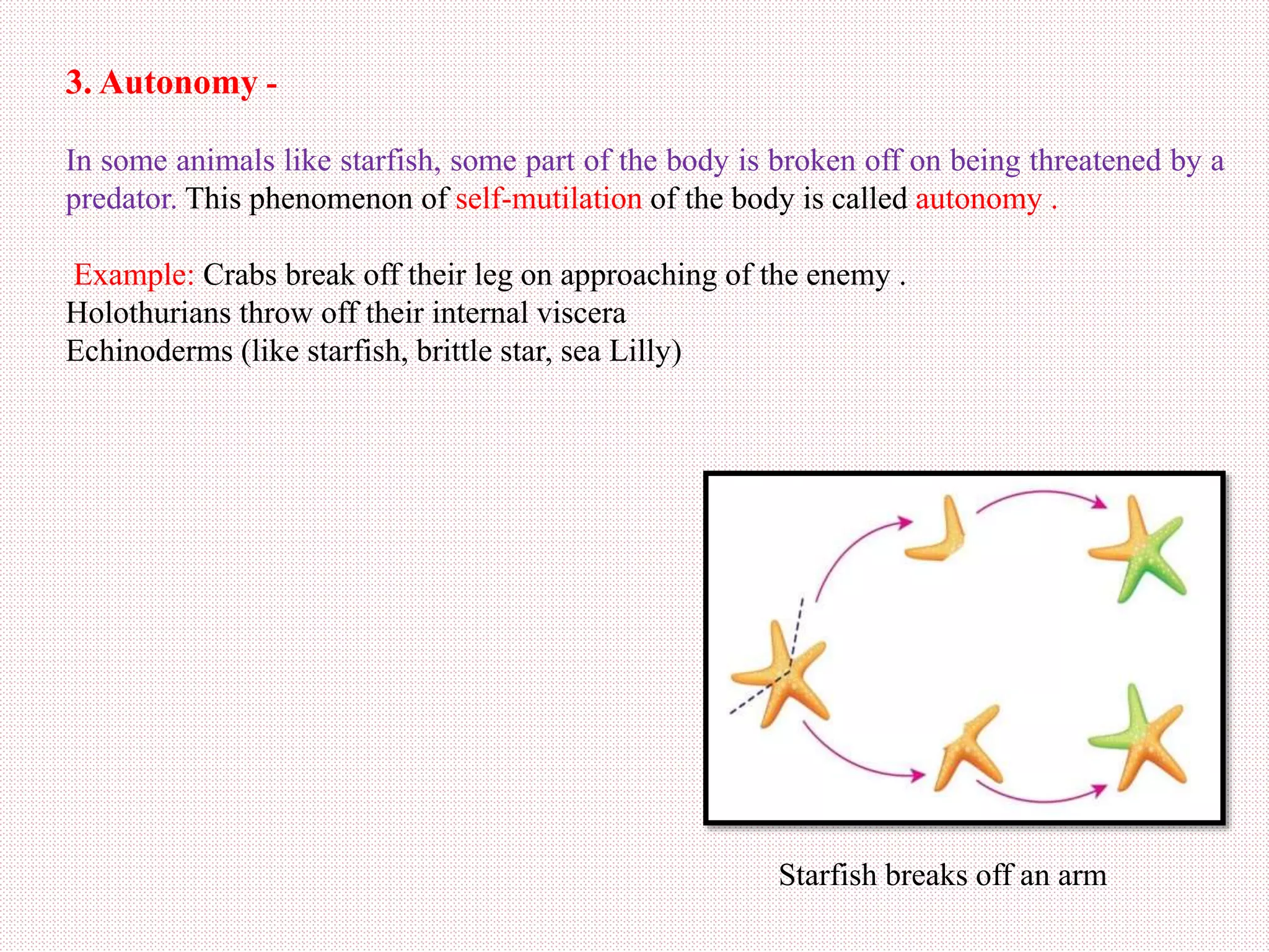 Regeneration, Types of Regeneration,Invertebrates&Vertebrates sp ...