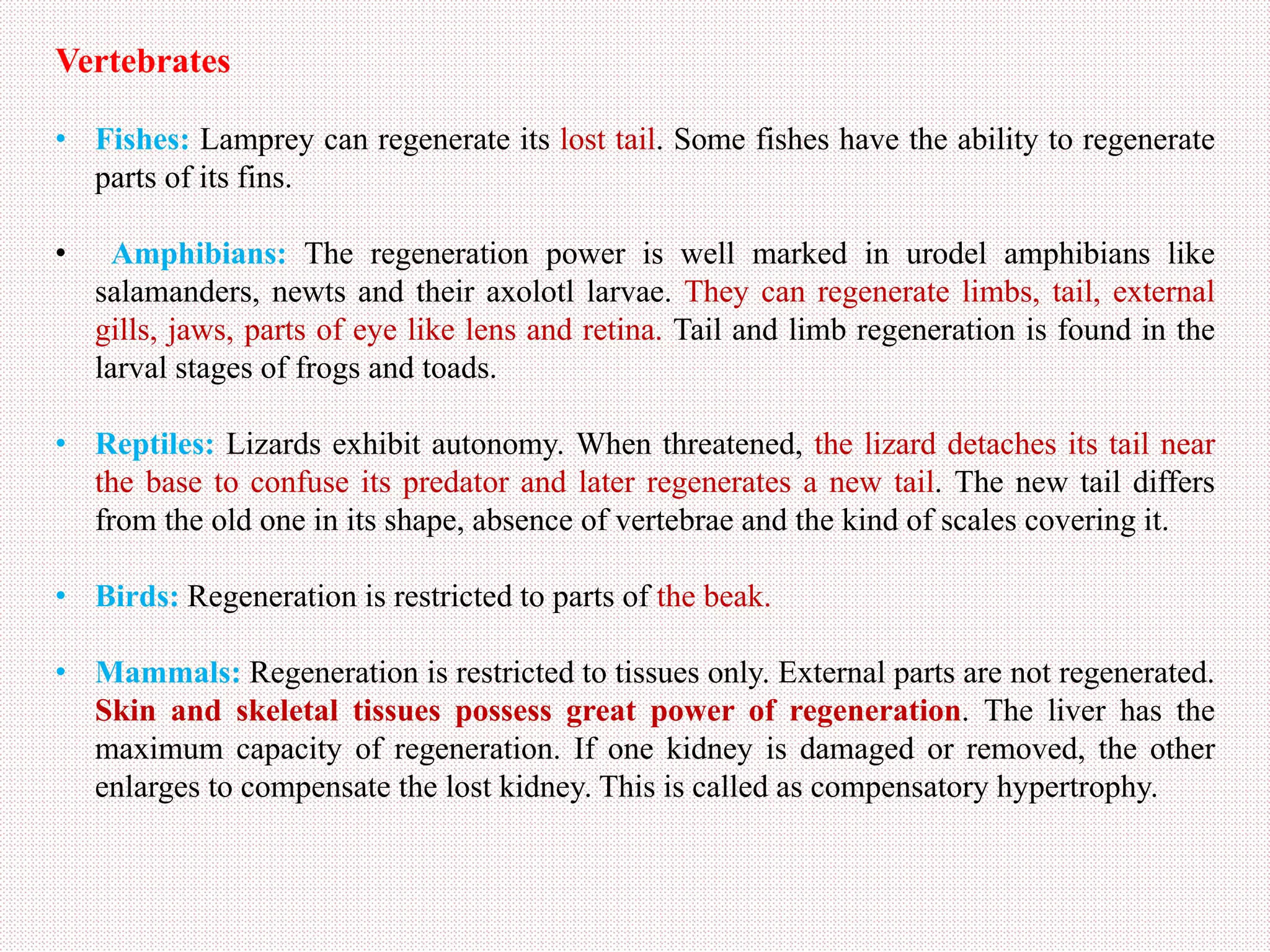 Regeneration, Types of Regeneration,Invertebrates&Vertebrates sp ...