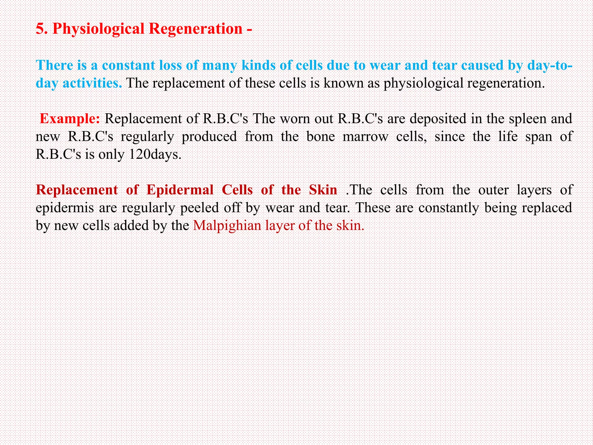 Regeneration, Types of Regeneration,Invertebrates&Vertebrates sp ...