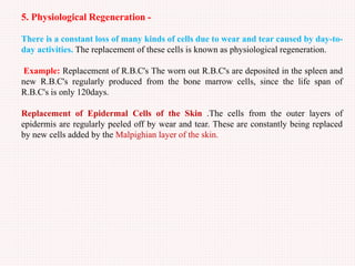 Regeneration, Types of Regeneration,Invertebrates&Vertebrates sp ...