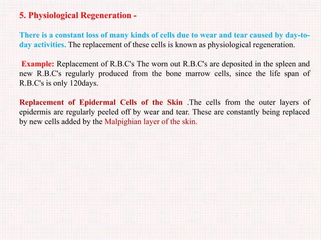 Regeneration Types Of Regeneration Invertebratesandvertebrates Sp