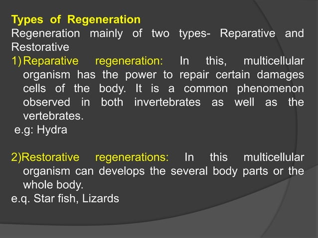 Regeration | PPTX | Reptiles | Pets