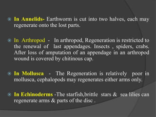 Regeration | PPTX