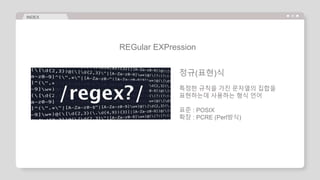 RegExp | PPT