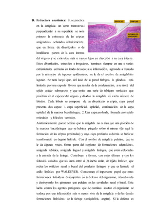 Región tonsilar | DOCX