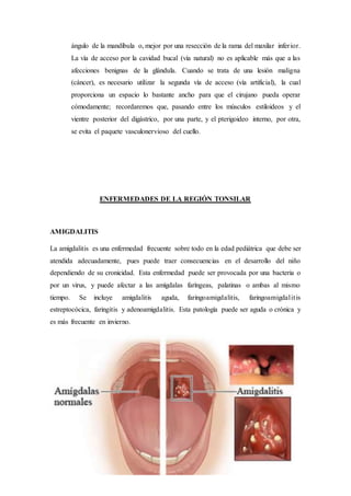 Región tonsilar | DOCX