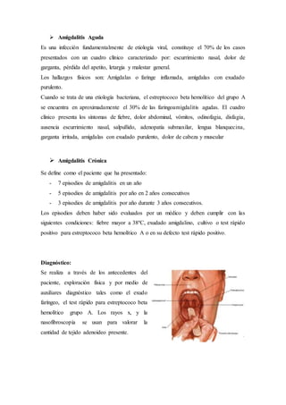 Región tonsilar | DOCX