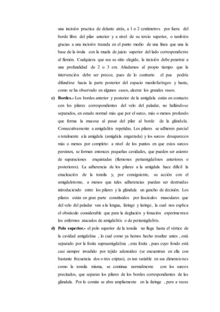 Región tonsilar | DOCX