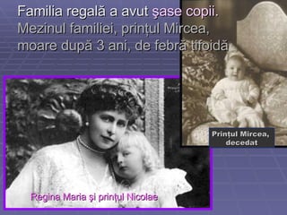 Regina Maria Romania | PPS