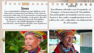 REGIÓN AMAZONICA (1).pdf