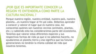 Región e Historia Regional | PPTX