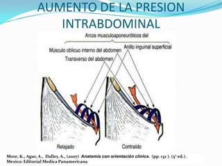 Región Inguinal | PPTX