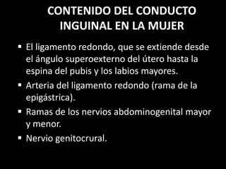 Región inguinal (conducto inguinal) | PPTX