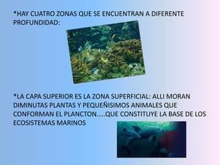 Región marina | PPTX