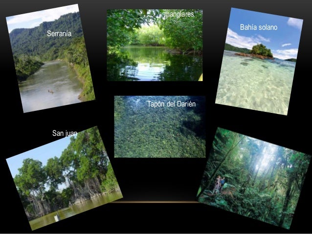 la región pacifica: 2014