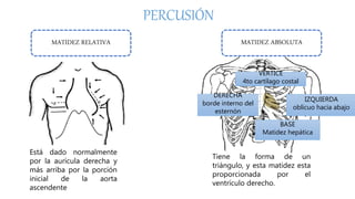 Región Precordial | PPTX