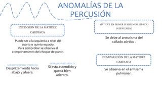 Región Precordial | PPTX