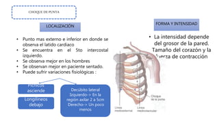 Región Precordial | PPTX