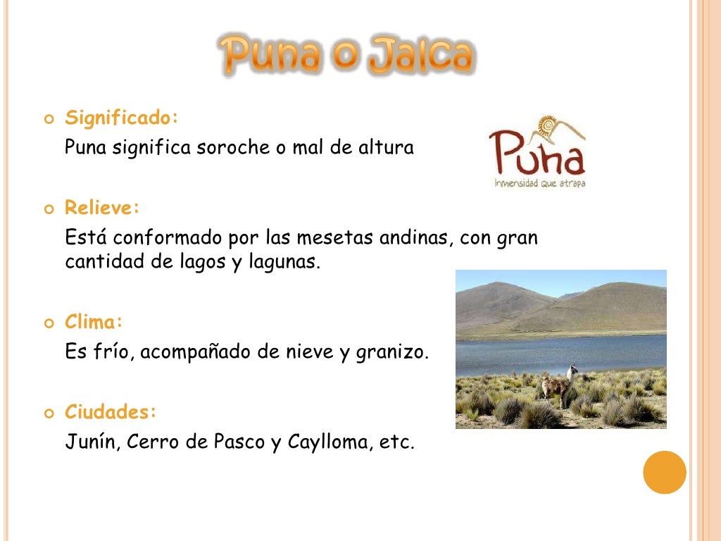 Región puna o jalca