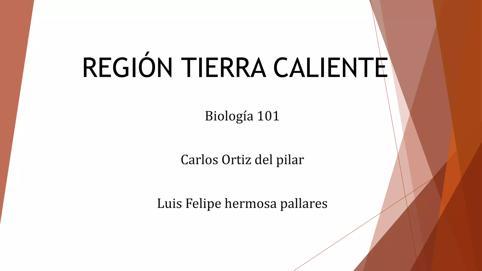 Región tierra caliente | PPT