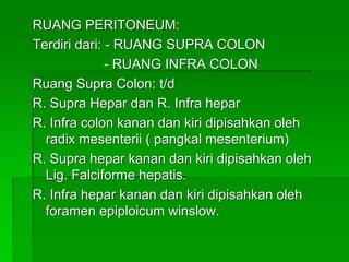 REGIO DAN OTOT ABDOMEN_1.pdf