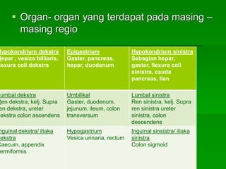REGIO DAN OTOT ABDOMEN_1.pdf