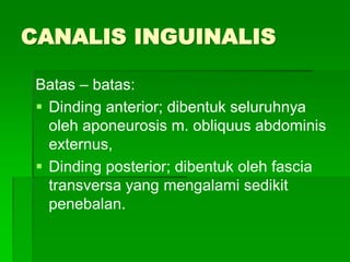 REGIO DAN OTOT ABDOMEN_1.pdf