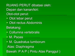 REGIO DAN OTOT ABDOMEN_1.pdf