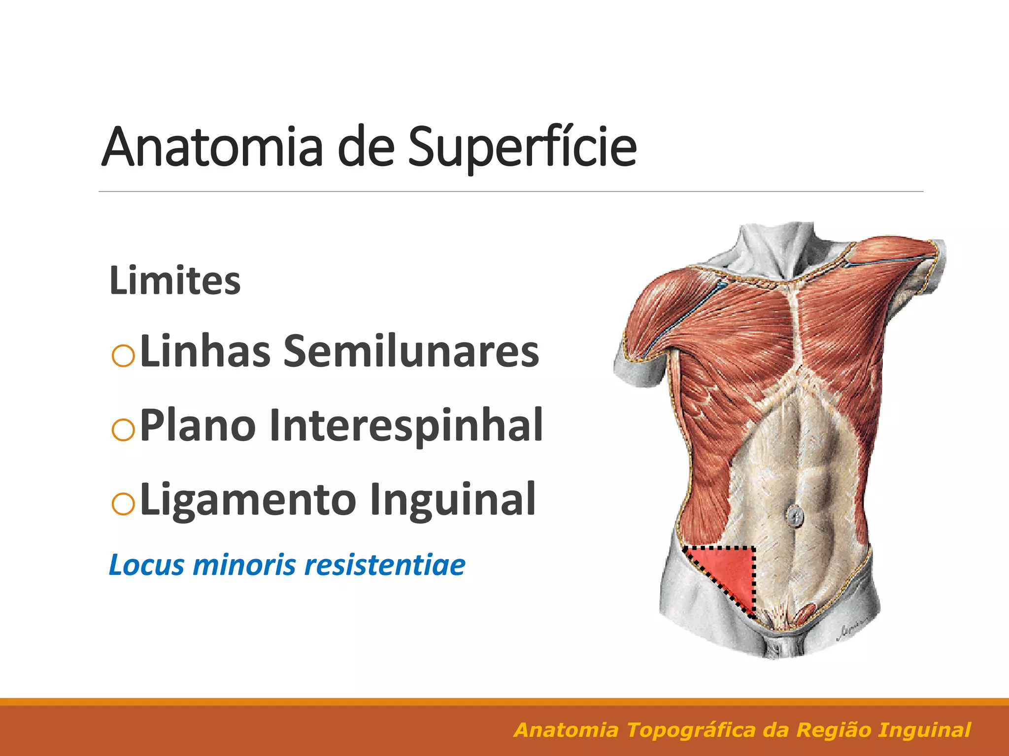 Anatomia Topográfica da Região Inguinal | PDF