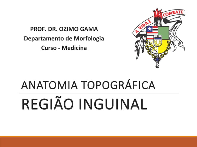 Anatomia Topográfica da Região Inguinal | PDF