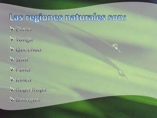 Regiones naturales | PPTX