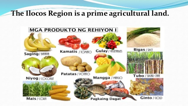 Region 1 Ilocos Region